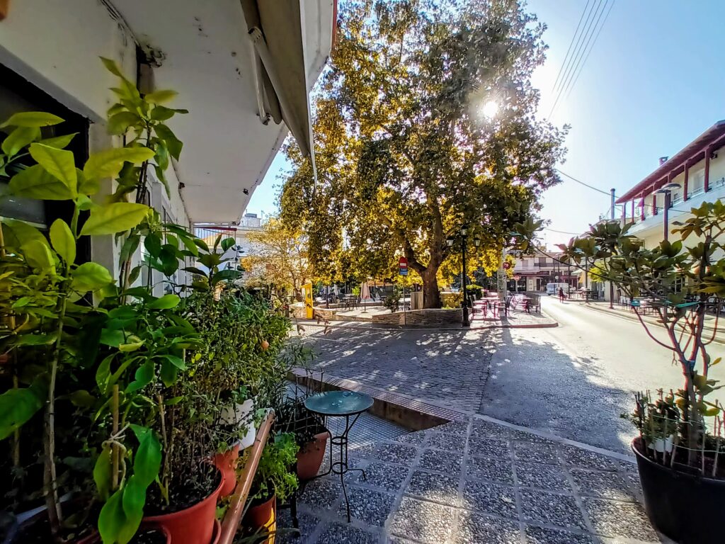 Νέο Πετρίτσι Σερρών, το όμορφο χωριό κοντά στη Λίμνη Κερκίνη | travel.gr