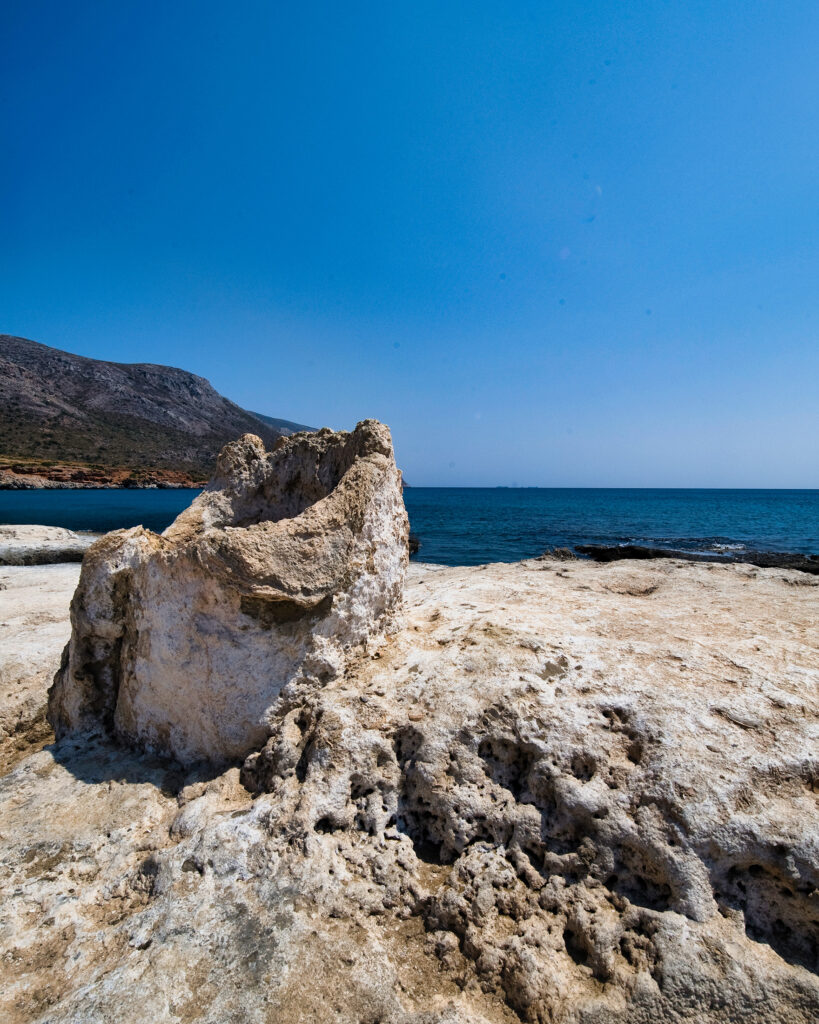 Vatika, a Wondrous Petrified Palm Forest| travel.gr