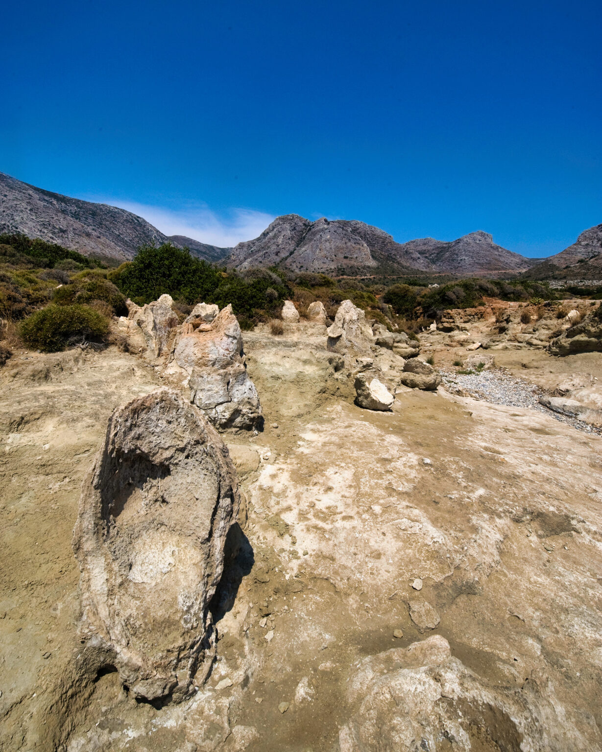 Vatika, a Wondrous Petrified Palm Forest| travel.gr