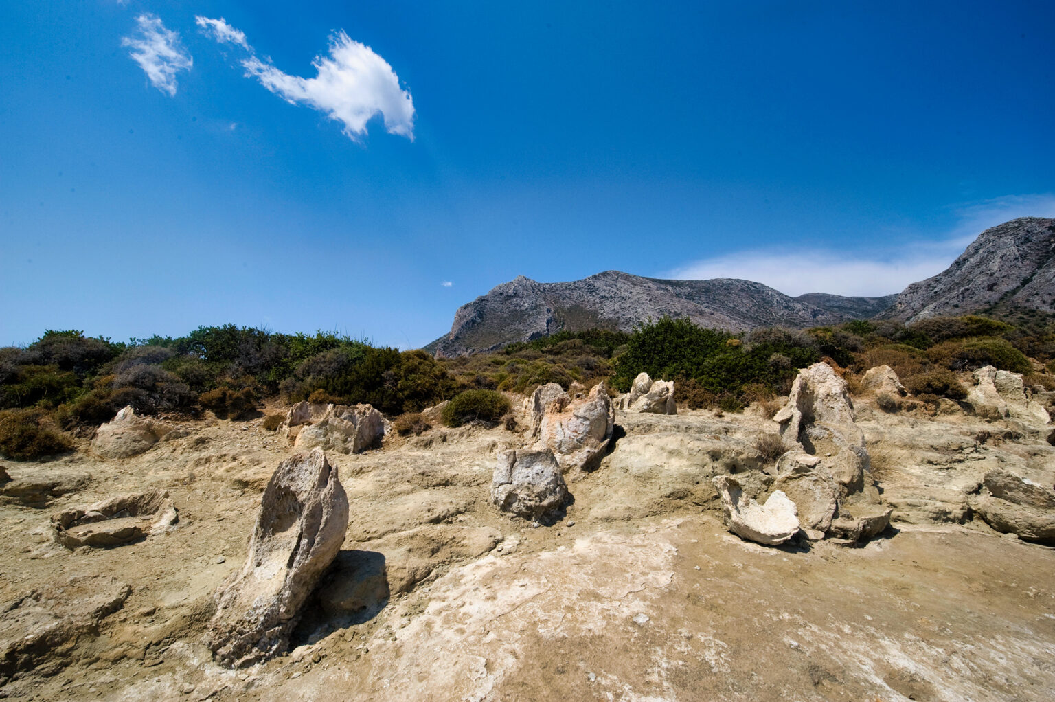 απολιθωμένο φοινικόδασος Βάτικα | travel.gr