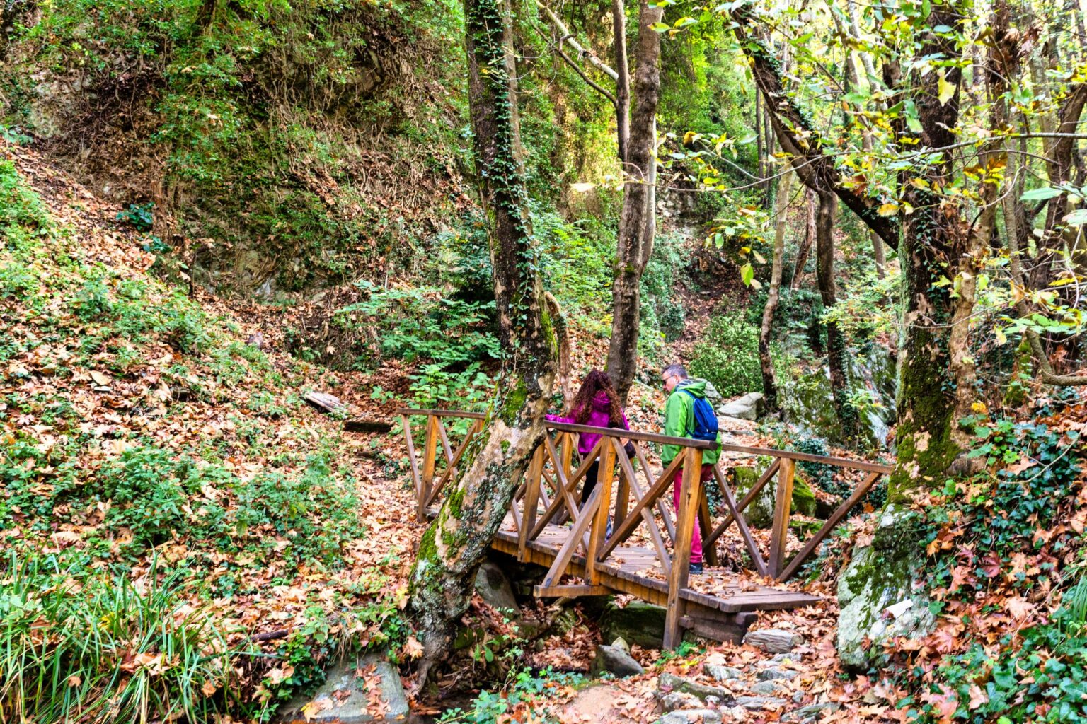 Πεζοπορικές και ποδηλατικές διαδρομές στο Πήλιο | travel.gr