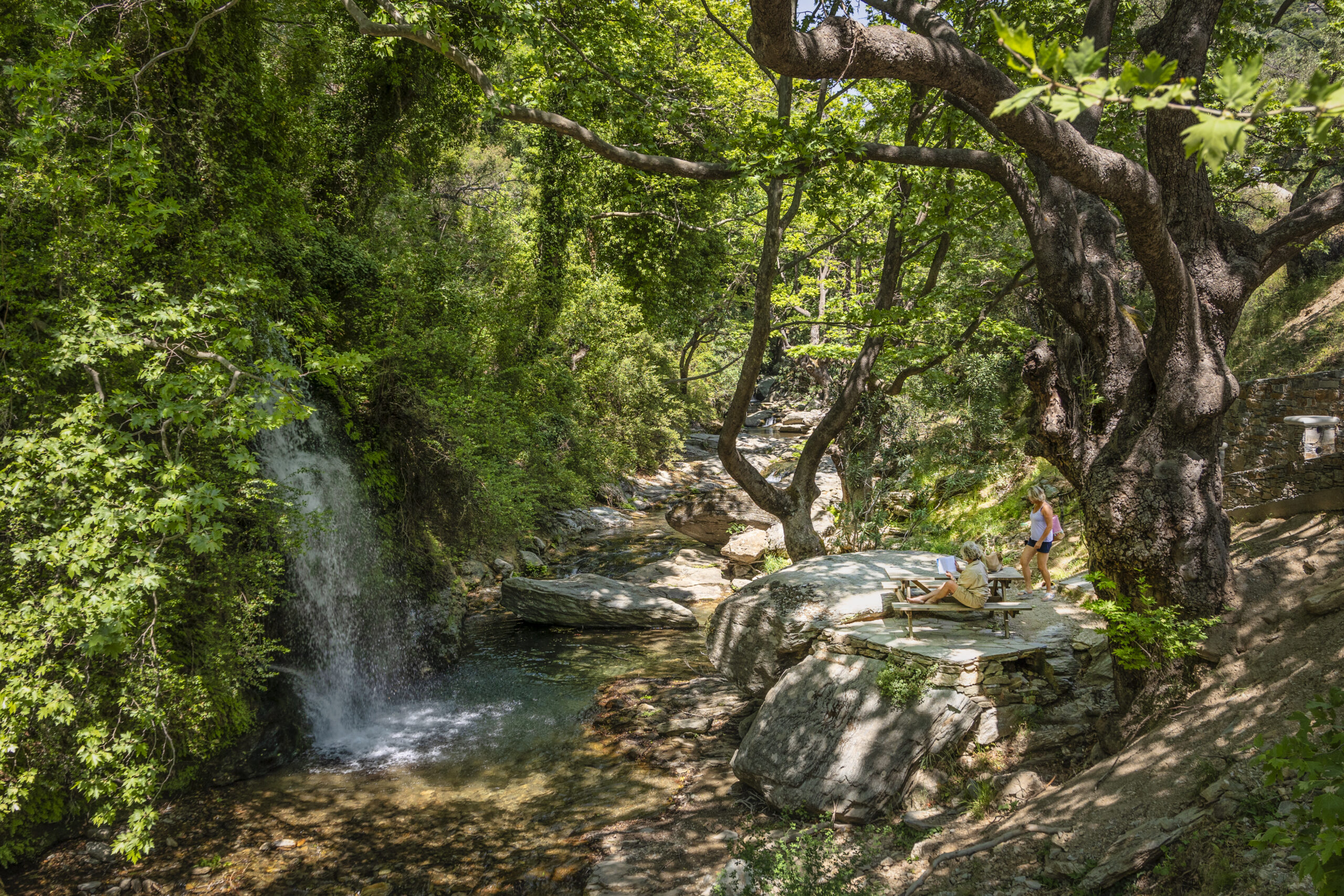 Τα βότανα της Εύβοιας | travel.gr