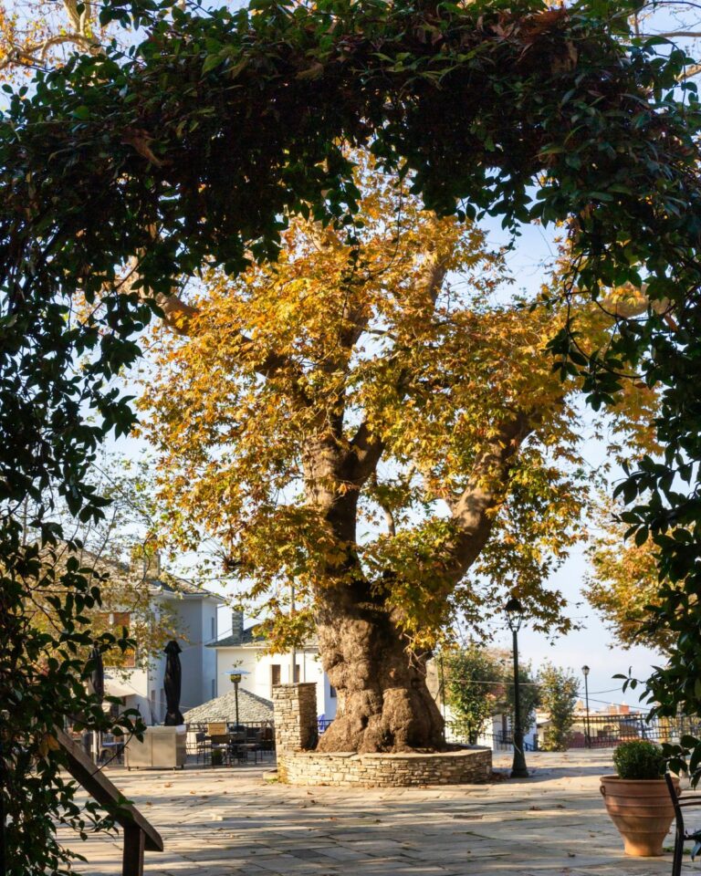 Portaria Village on Mount Pelion, Magnesia, Greece| travel.gr