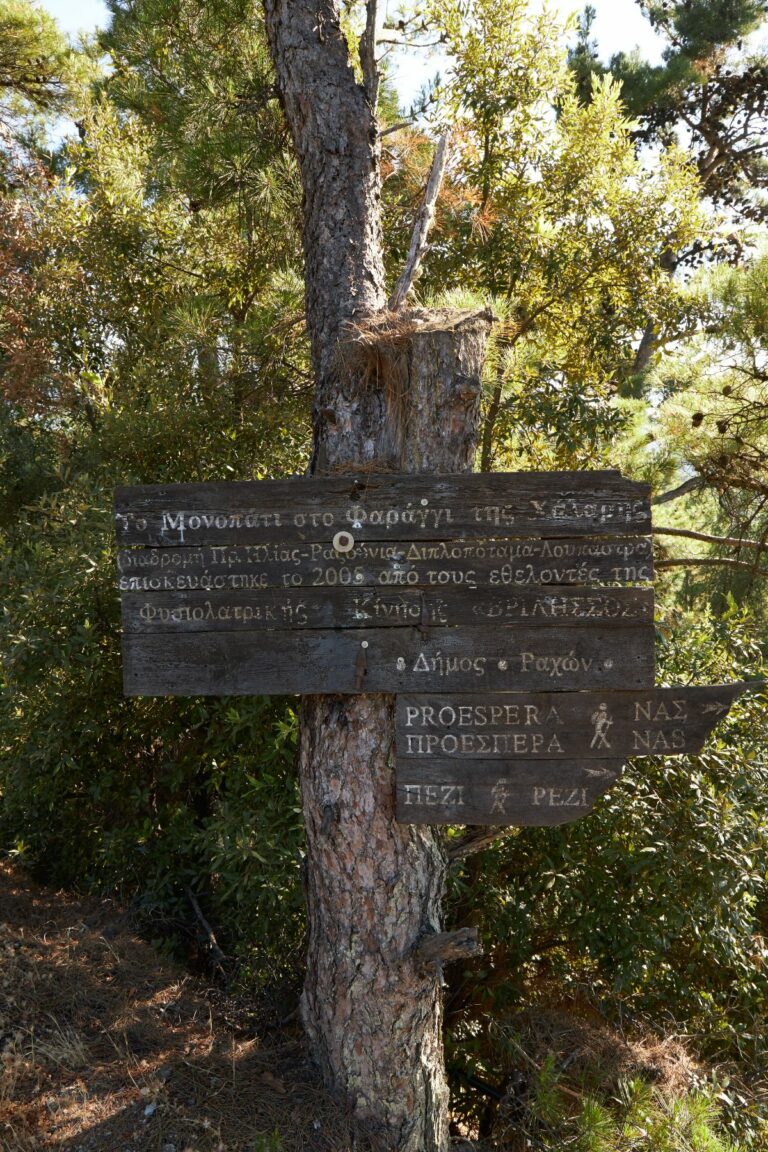 Οι εμπειρίες που πρέπει να ζήσετε στην Ικαρία | travel.gr
