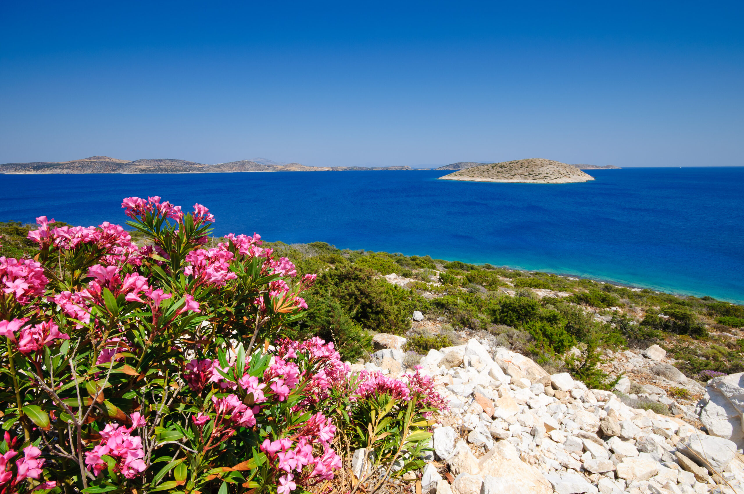 All Covered on Foot in Schinoussa – the Pedestrian Island| travel.gr