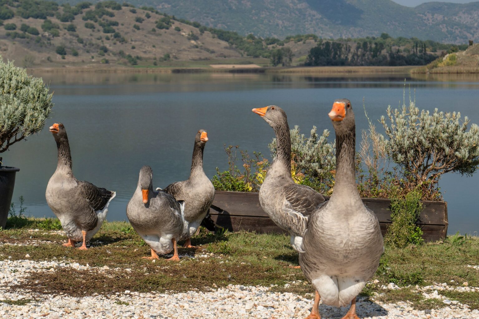 Ομορφιές της Φλώρινας: Χωριά, λίμνες, μονοπάτια | travel.gr