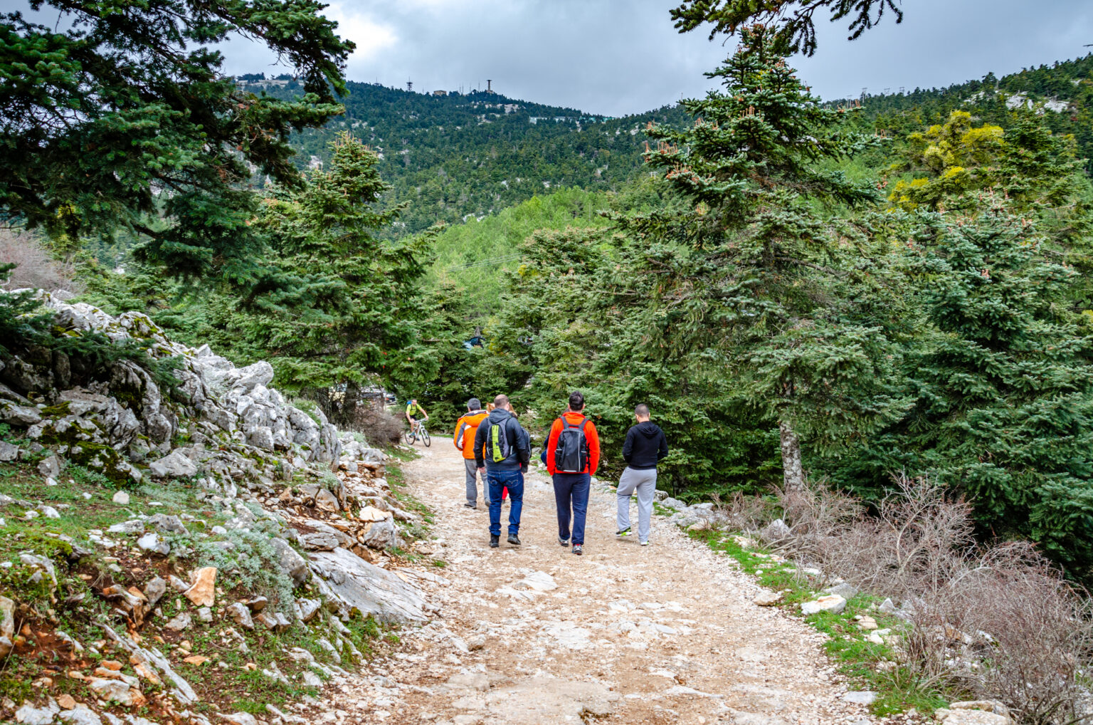 5 Πεζοπορικές διαδρομές στην Πάρνηθα | travel.gr