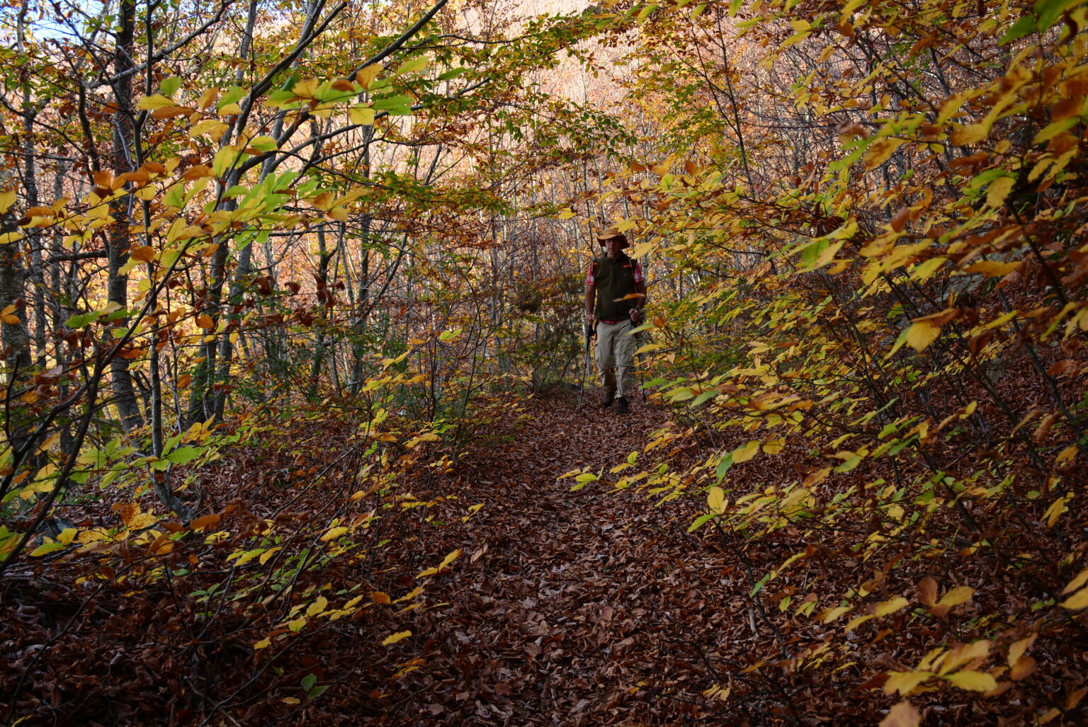 Στο Μονοπάτι των Καταρρακτών στο κεντρικό Πήλιο | travel.gr