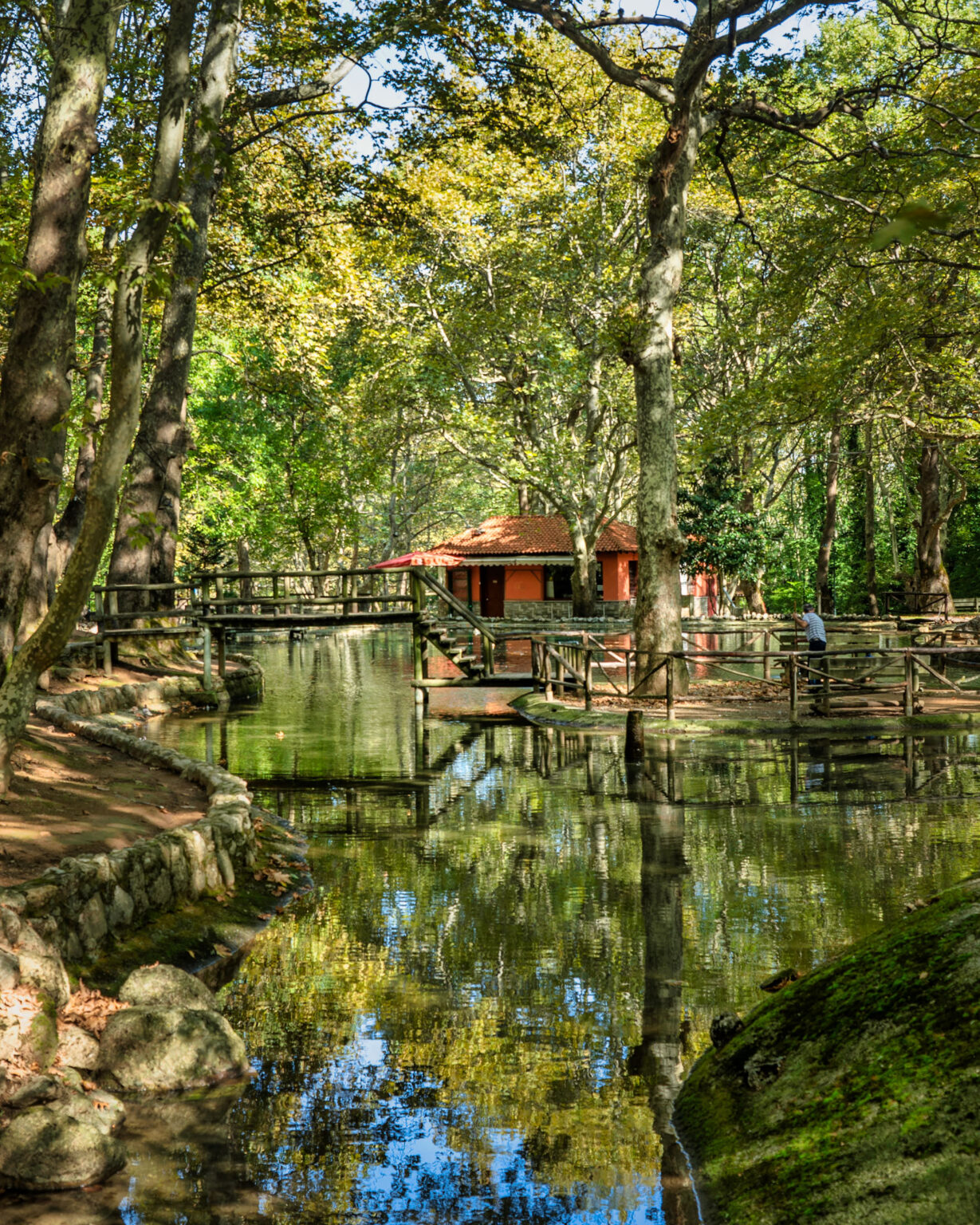Άλσος Αγίου Νικολάου Νάουσα ρυάκια φλαμουριές | travel.gr