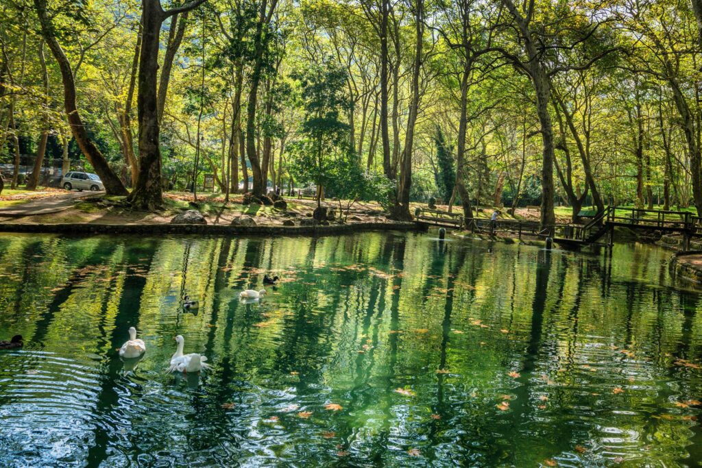 Agios Nikolaos Grove: Naoussa’s Idyllic Attraction | travel.gr