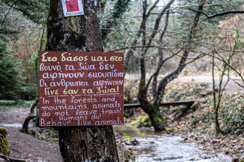 Φθιώτιδα: Στο πάρκο της Παύλιανης | travel.gr