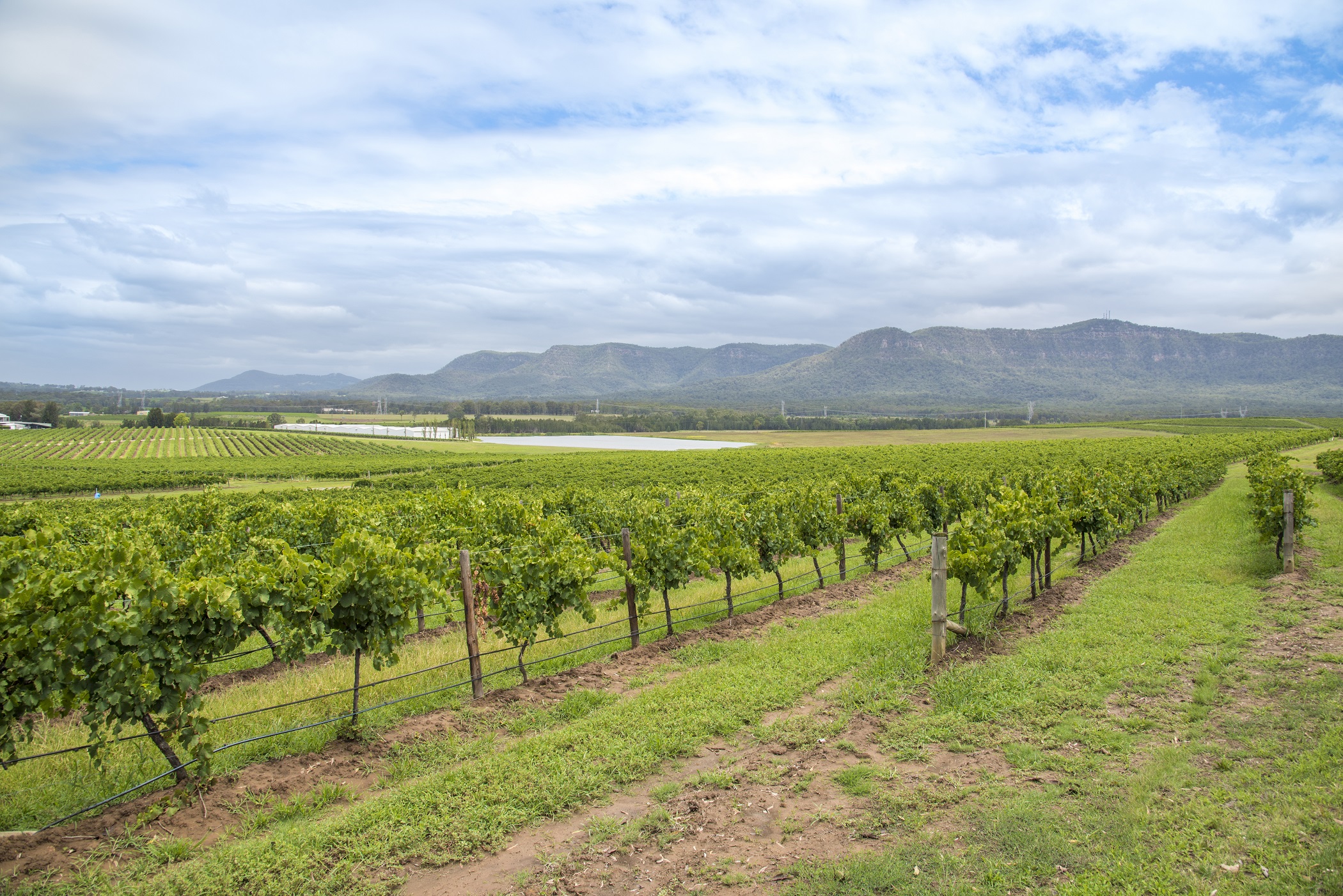 Hunter Valley οινοτουριστικοί προορισμοί Αυστραλία | travel.gr