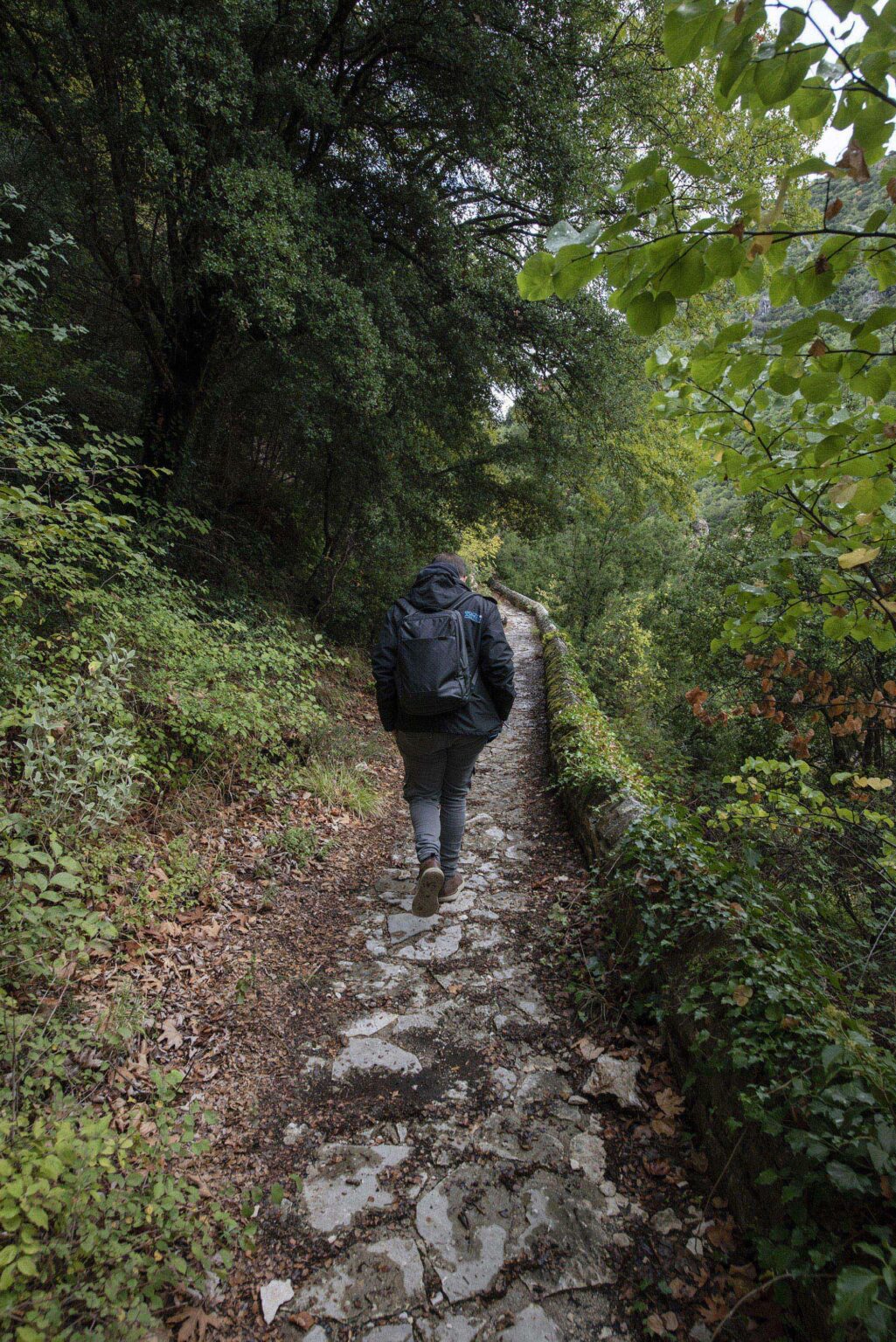 5 απολαυστικά road trip σε Ελλάδα και Ευρώπη αυτή την εποχή | travel.gr