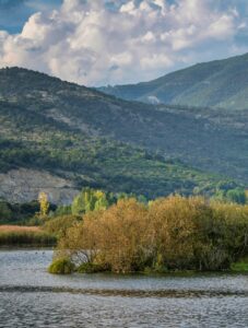 Agra: From a Pella Lake to One of Greece's Beautiful Fen| travel.gr