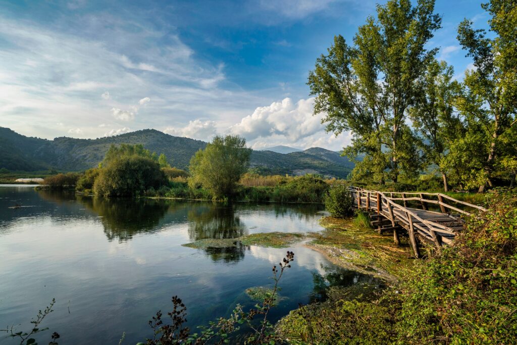 Agra: From a Pella Lake to One of Greece's Beautiful Fen| travel.gr