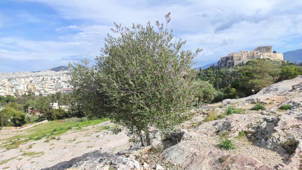 Καθαρά Δευτέρα 2023: Τα καλύτερα σημεία της Αθήνας για πέταγμα ...