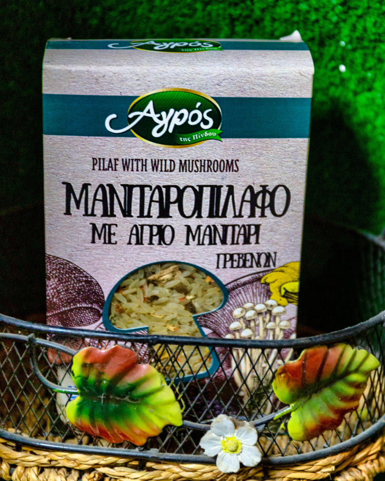 Τα μανιτάρια των Γρεβενών