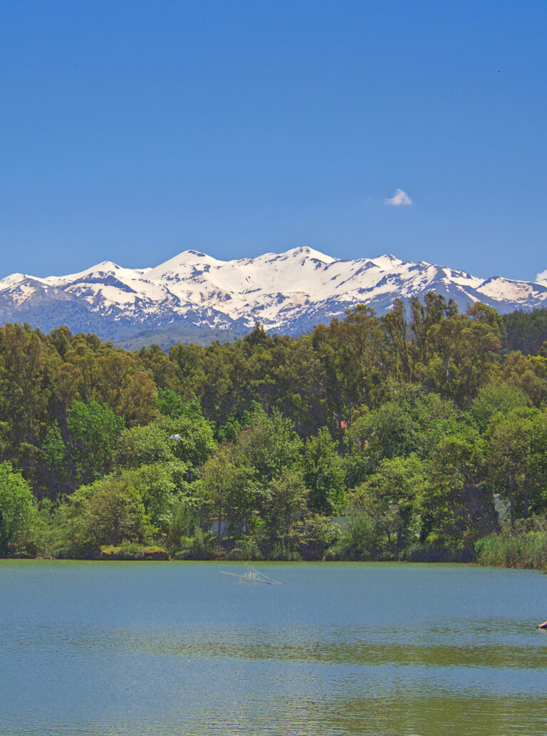 Your Guide to Chania | travel.gr