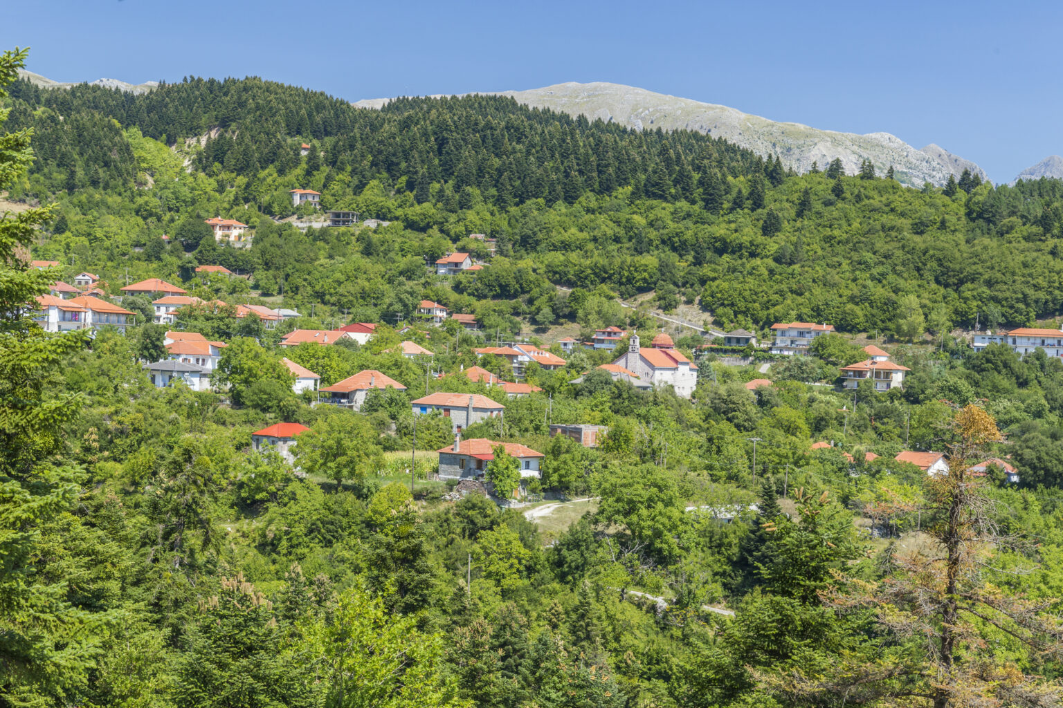 Στα ορεινά της Άρτας: Χωριά, πανέμορφα τοπία μοναδική θέα