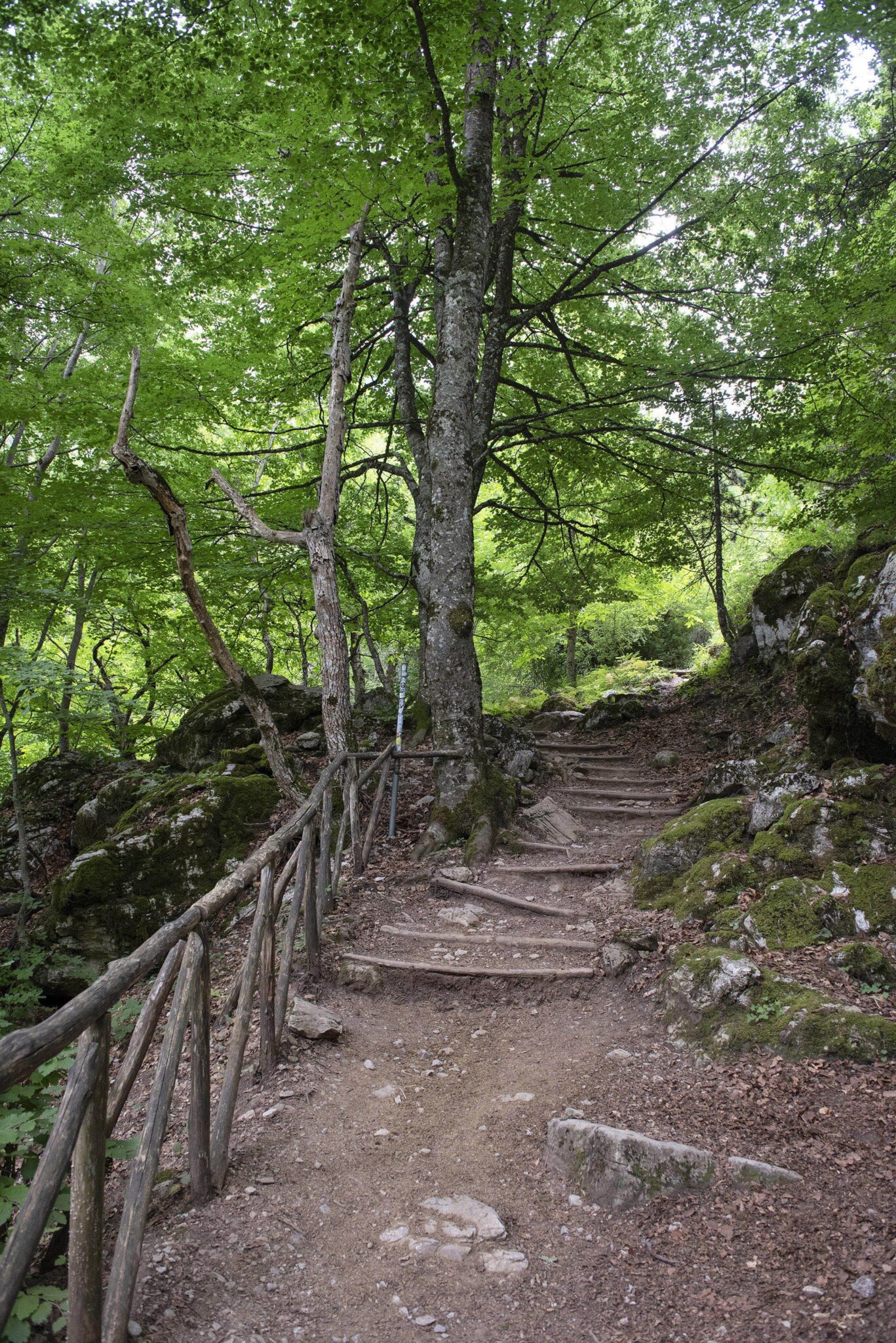 | travel.gr 8 δραστηριότητες στον Όλυμπο