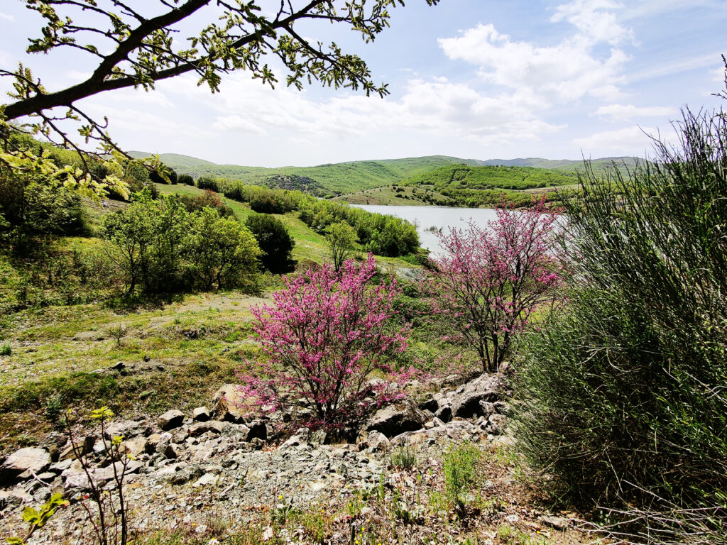Road Trip στη Λίμνη Σμοκόβου | travel.gr