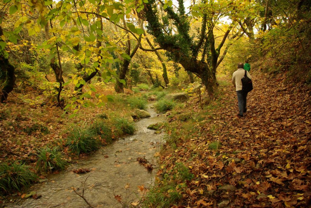 Σκήτη, Μελίβοια, Σωτηρίτσα, Καρίτσα, Κίσσαβος | travel.gr