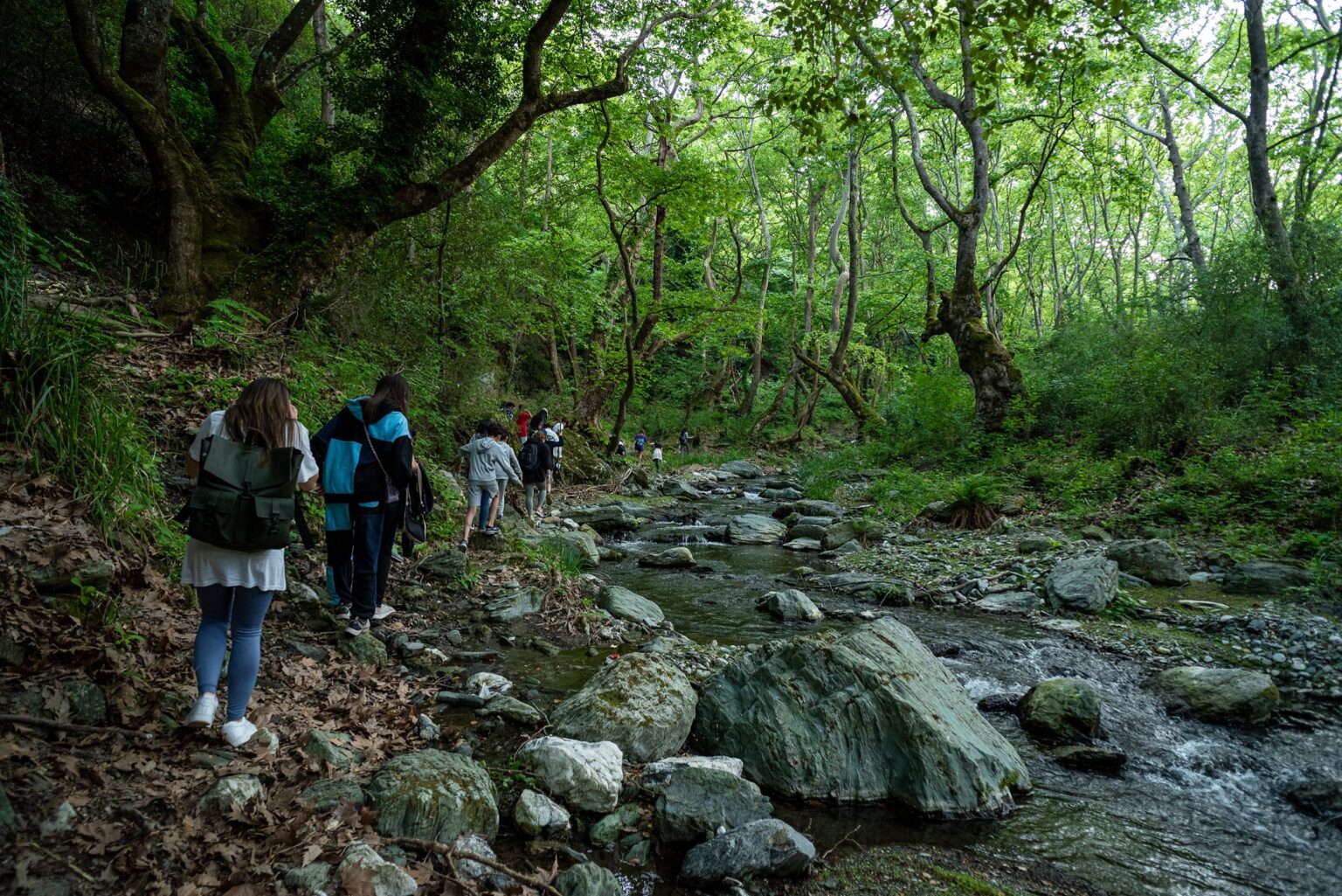 Σκήτη, Μελίβοια, Σωτηρίτσα, Καρίτσα, Κίσσαβος | travel.gr