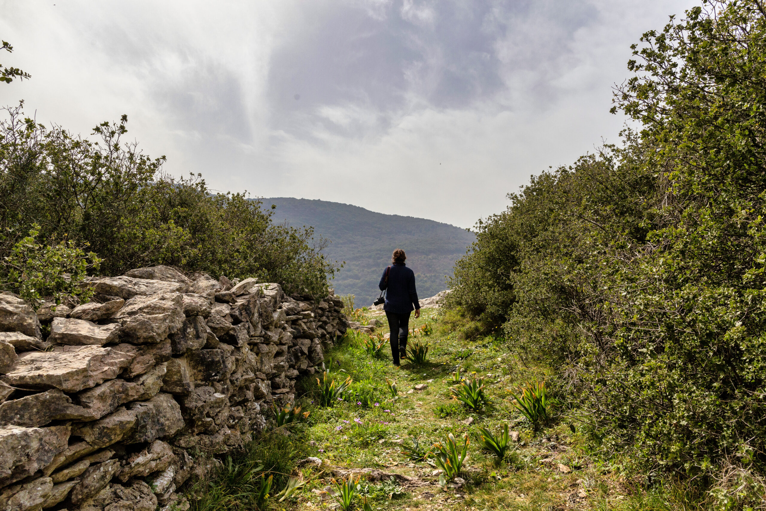 Αποστολή στην Αρκαδία, Ηλεία και Μεσσηνία