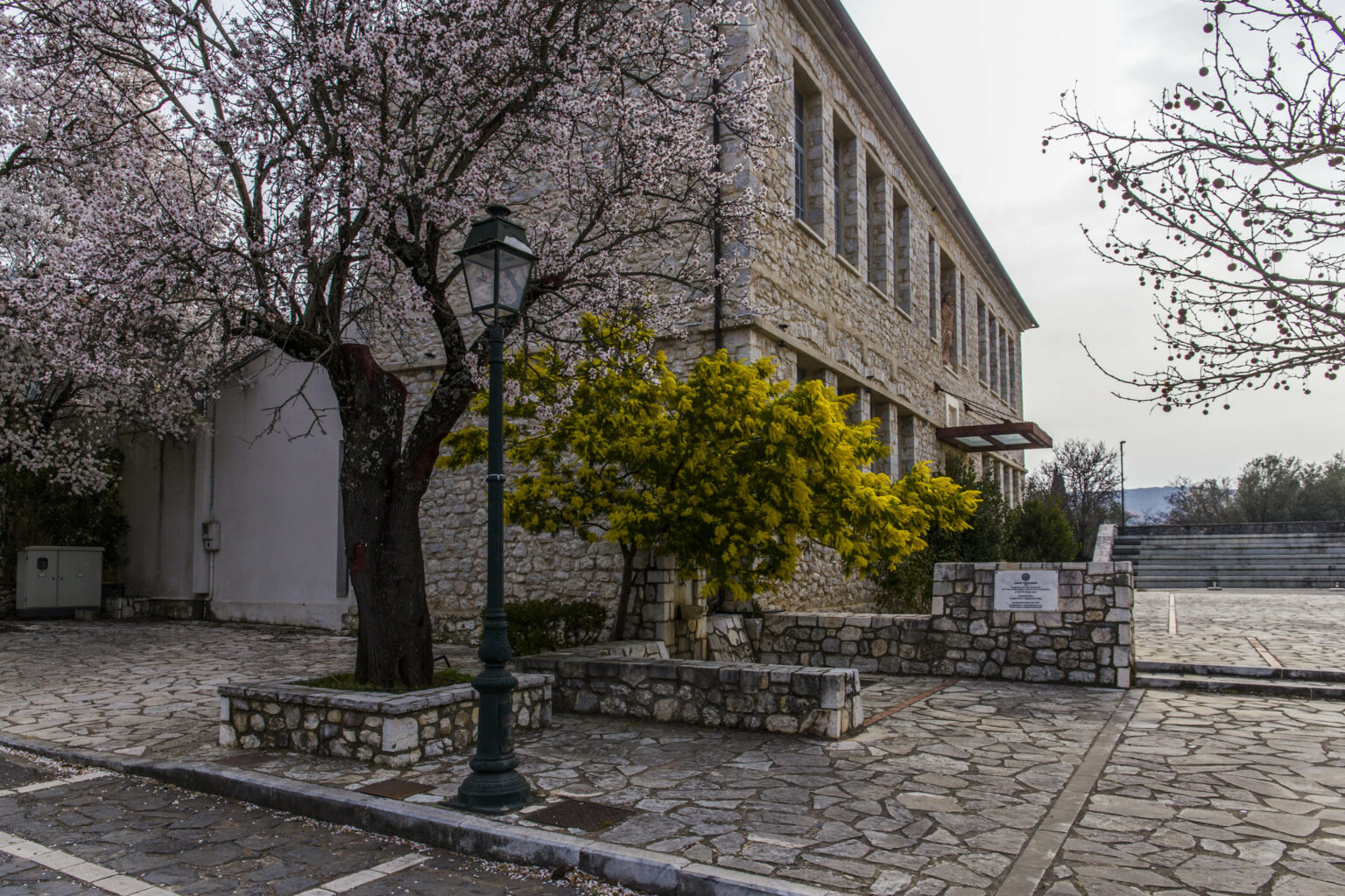 Οι κορυφαίες εμπειρίες στο Μαίναλο -Απόδραση στη Φύση της Αρκαδίας