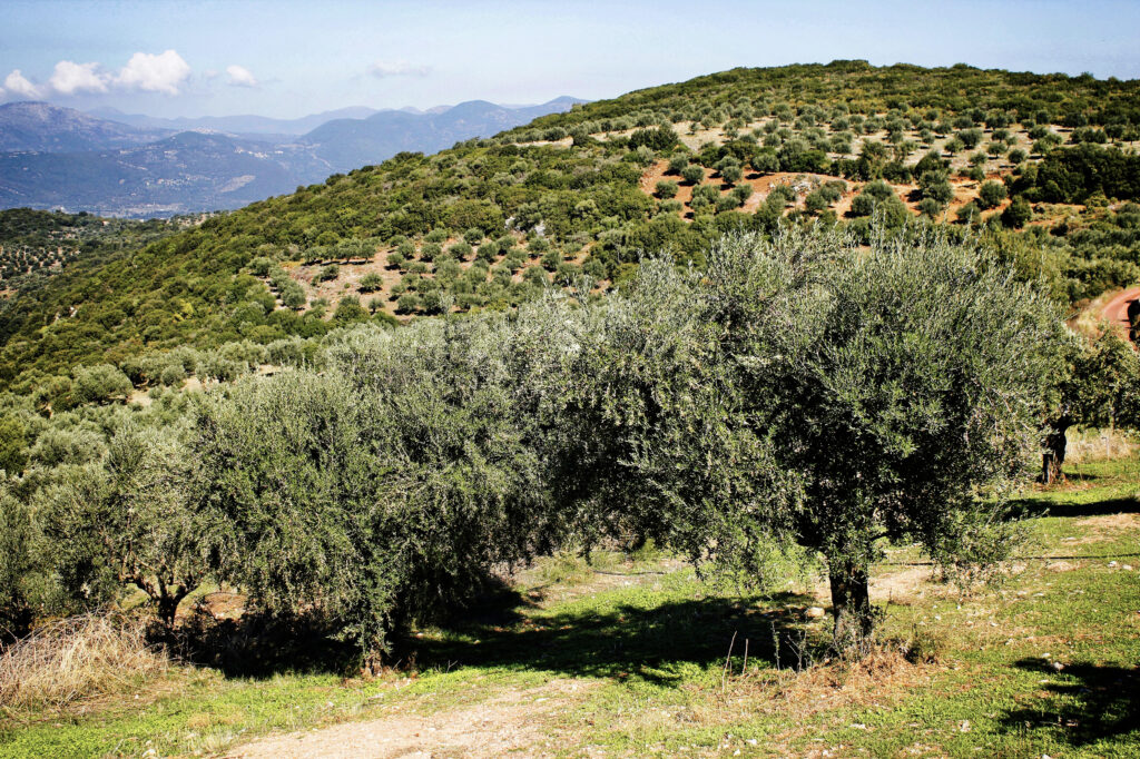 5 προορισμοί για ποδηλατάδα και πεζοπορία | travel.gr