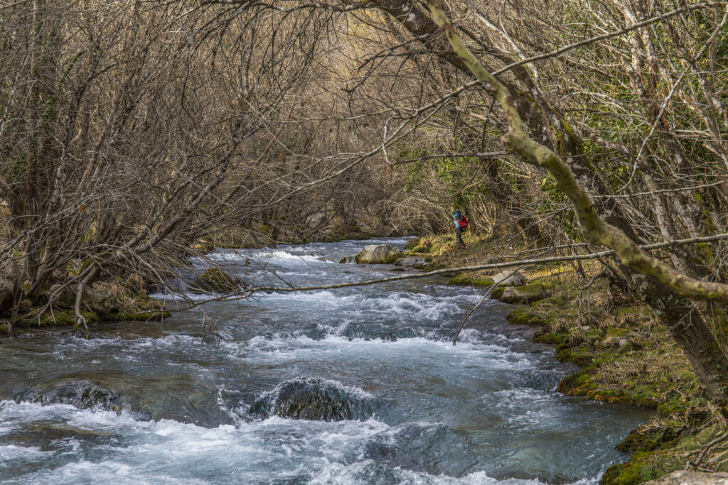 Οι κορυφαίες εμπειρίες στο Μαίναλο -Απόδραση στη Φύση της Αρκαδίας