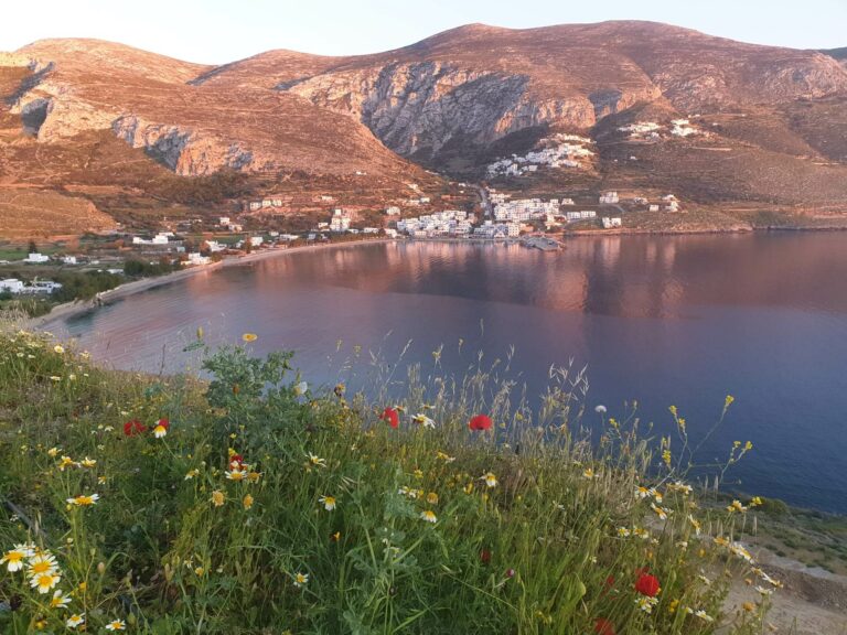 Αμοργός - Ο μικρός μέγας βοτανόκηπος του Αιγαίου | travel.gr