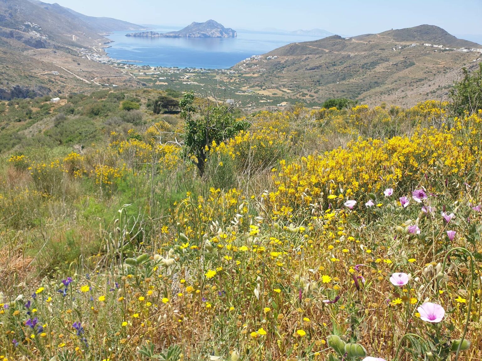 Αμοργός - Ο μικρός μέγας βοτανόκηπος του Αιγαίου | travel.gr