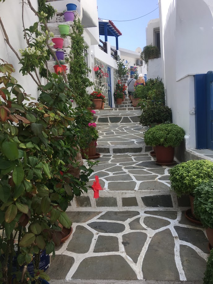syrostoday.gr - Επικαιρότητα - Travel.gr: Δρυοπίδα, το πανέμορφο χωριό ...