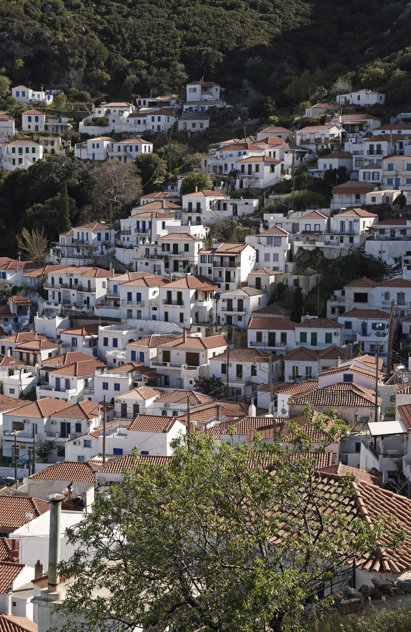 Νεάπολη Λακωνίας – Παραθαλάσσια κωμόπολη | travel.gr