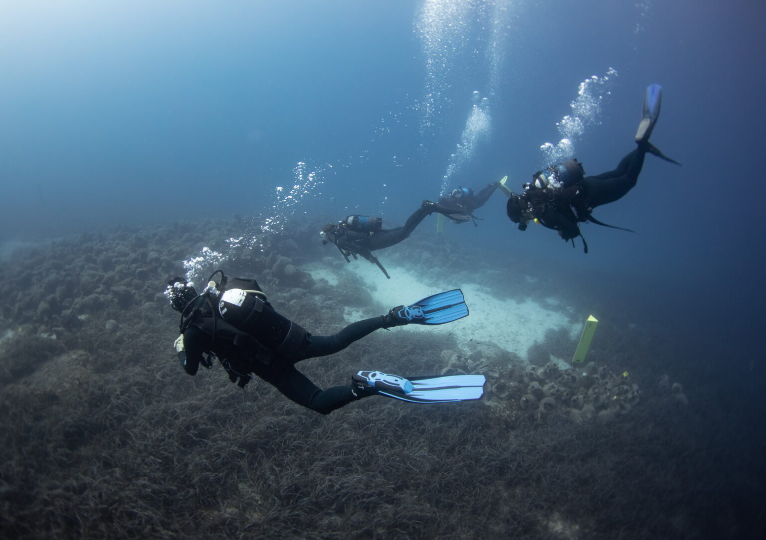 A Guide to Alonnisos: The Quiet Isle | Travel.gr/en