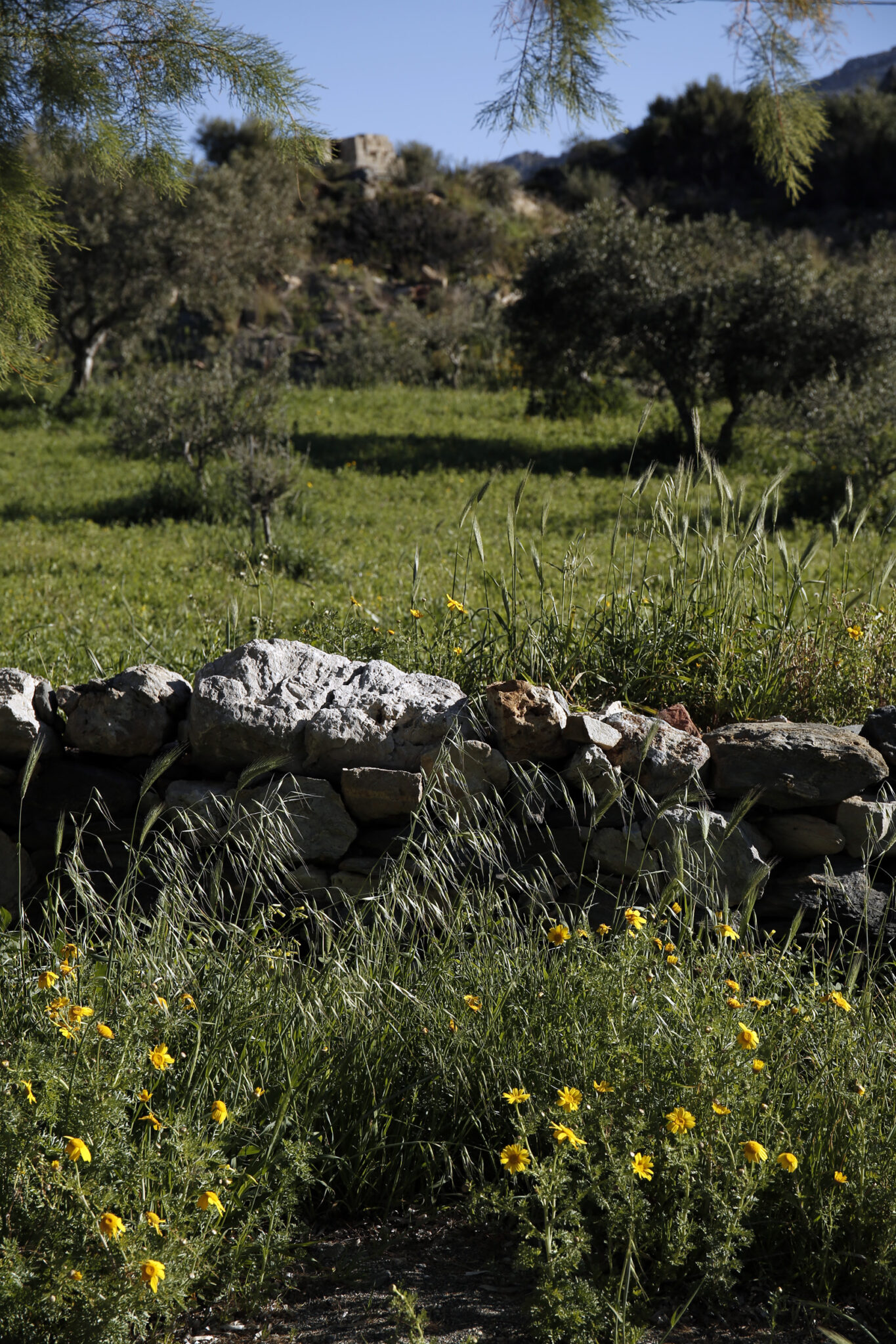 Νεάπολη Λακωνίας – Παραθαλάσσια κωμόπολη | travel.gr