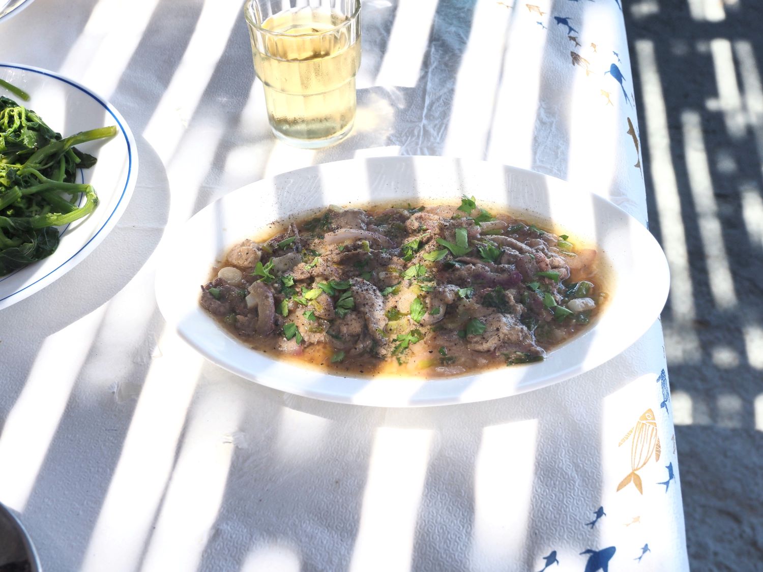 Scaros, ‘Sparisoma Cretense’ aka Parrot Fish| travel.gr