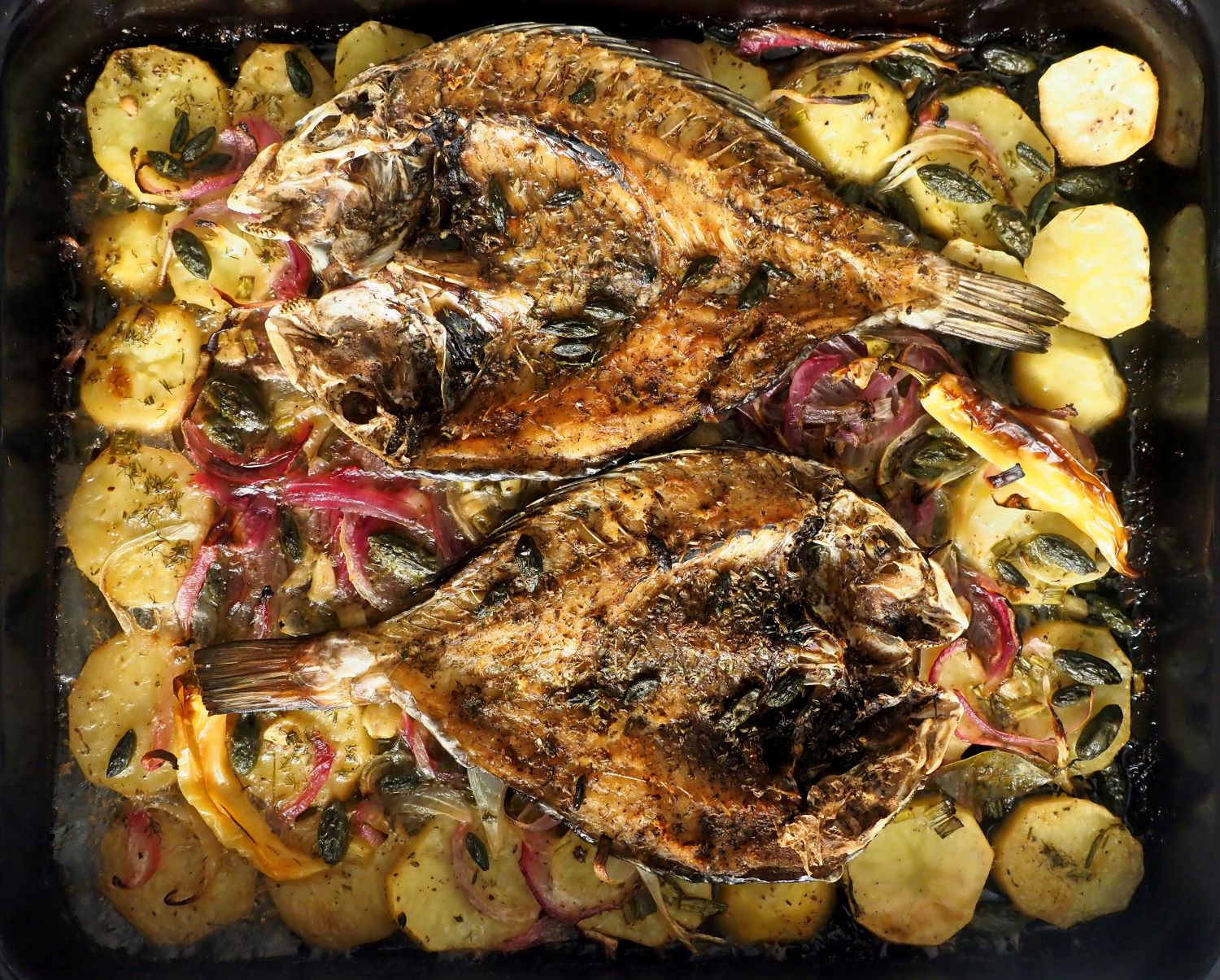 Scaros, ‘Sparisoma Cretense’ aka Parrot Fish| travel.gr