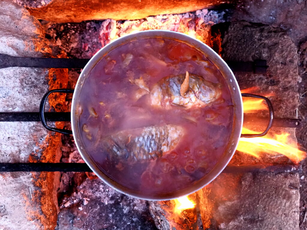 Scaros, ‘Sparisoma Cretense’ aka Parrot Fish| travel.gr