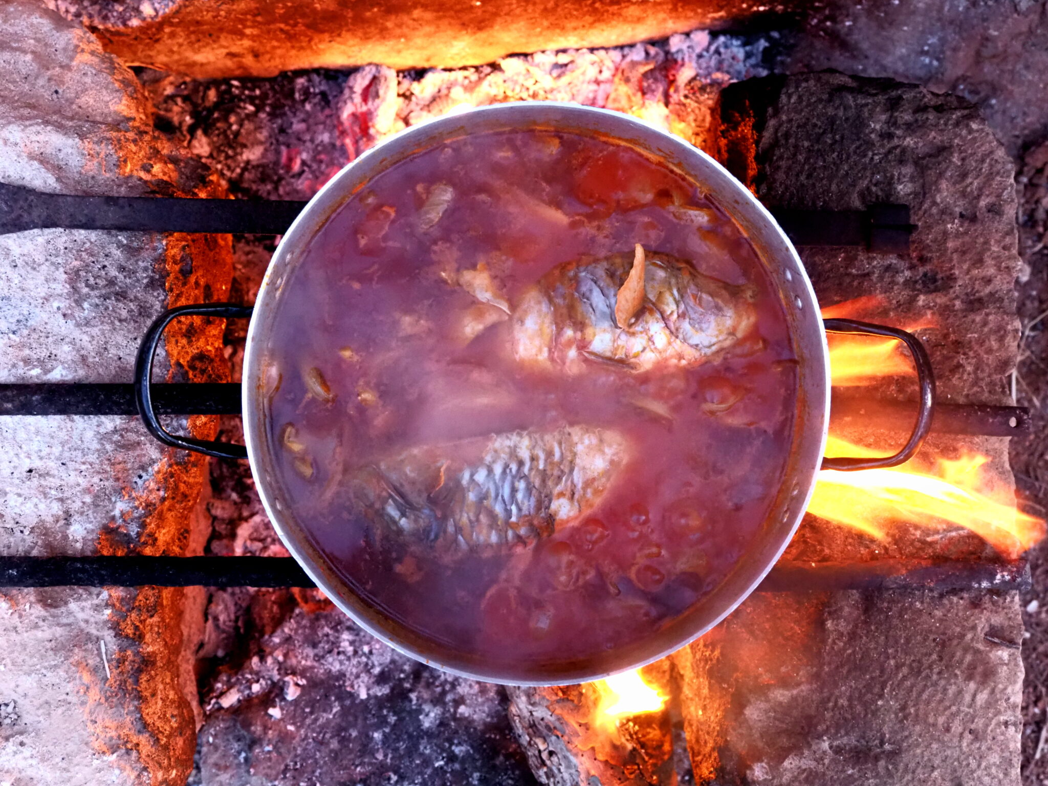Scaros, ‘Sparisoma Cretense’ aka Parrot Fish| travel.gr