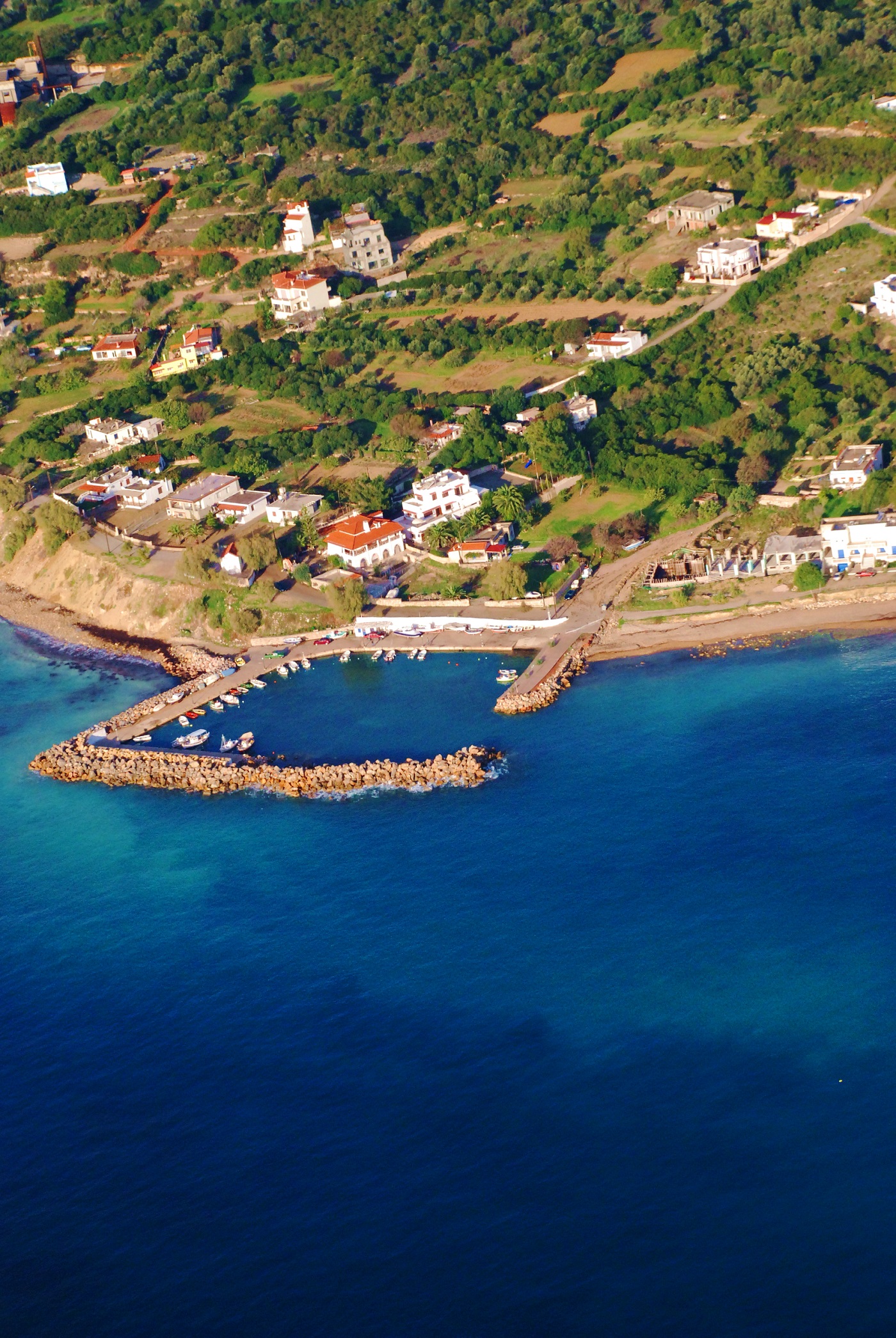 Agia Fotia: A Niche in the Aegean, Amidst Mastic Trees | travel.gr