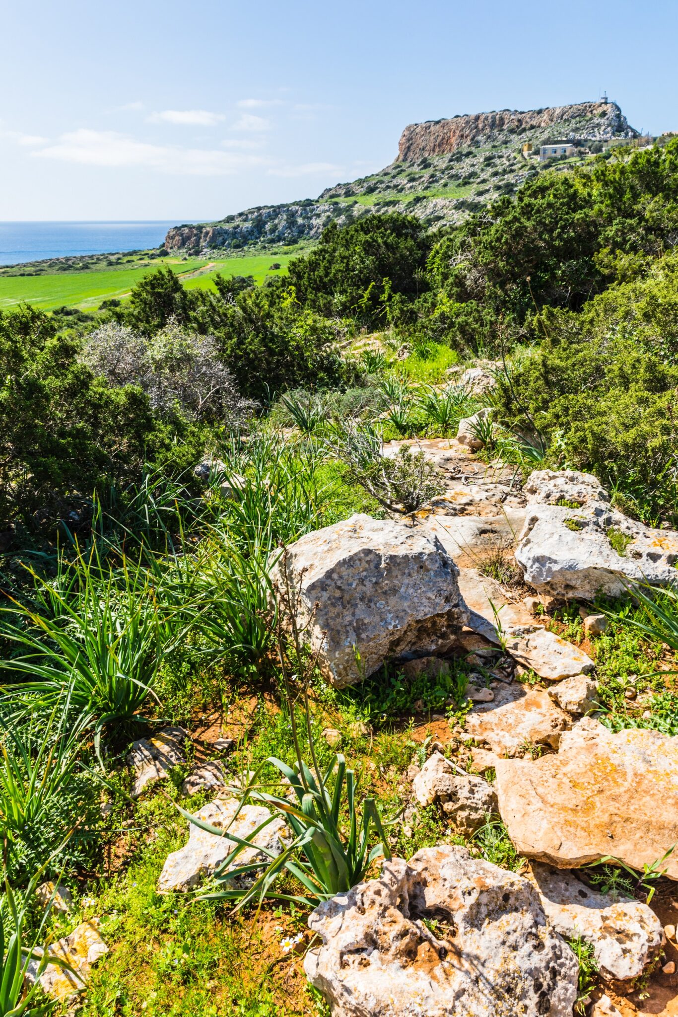 Κάβο Γκρέκο παραθαλάσσιο δασικό στολίδι Αγία Νάπα | travel.gr