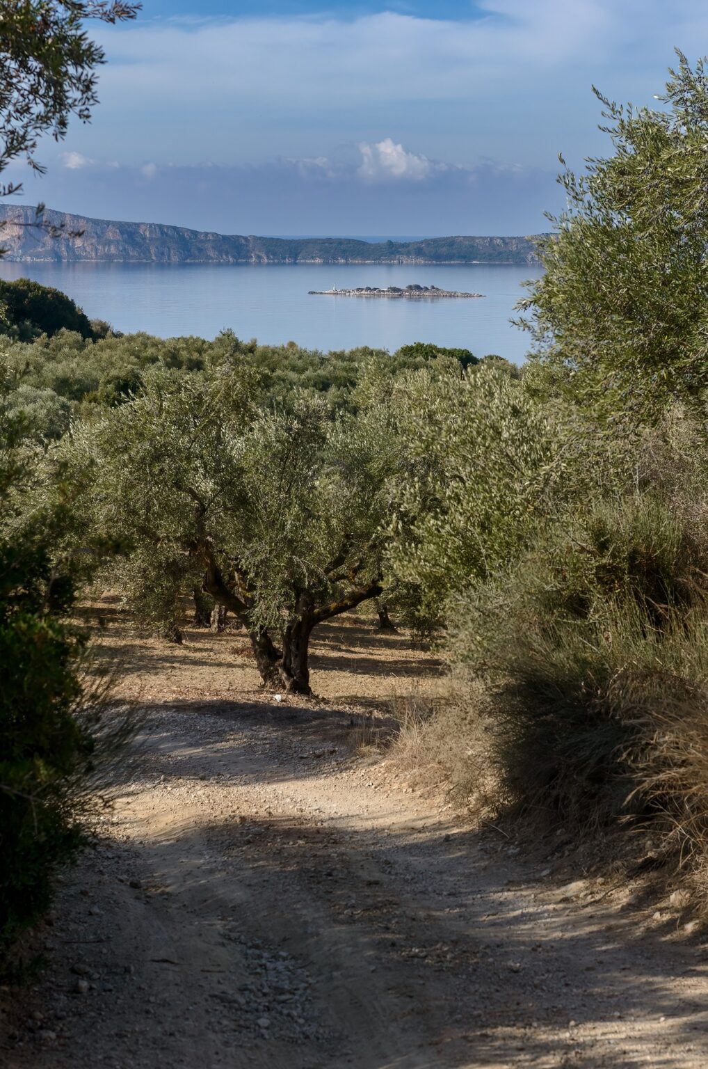 Γιάλοβα Χρυσή Ακτή ελαιώνες υγρότοπος Βοϊδοκοιλιά | travel.gr
