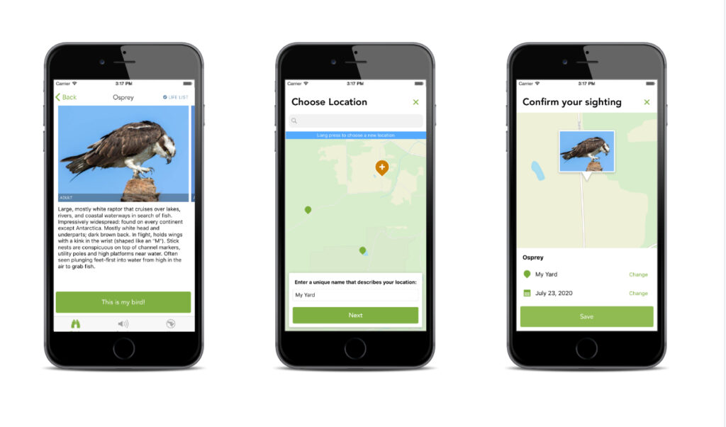 A New Kind of Tweeting: New App Revolutionizing Bird ID| travel.gr