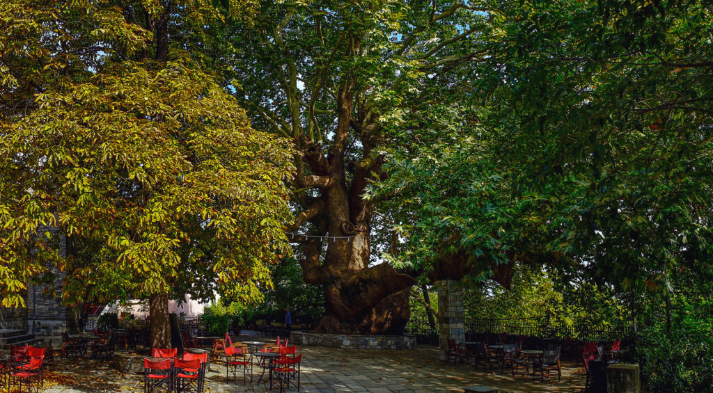 Στην Τσαγκαράδα, το χωριό στολίδι του Πηλίου | travel.gr