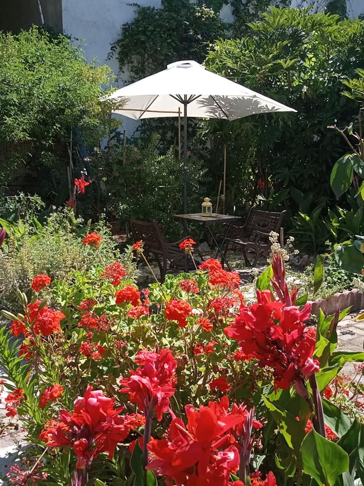 Agnontas: One of Skopelos' most stunning corners | travel.gr