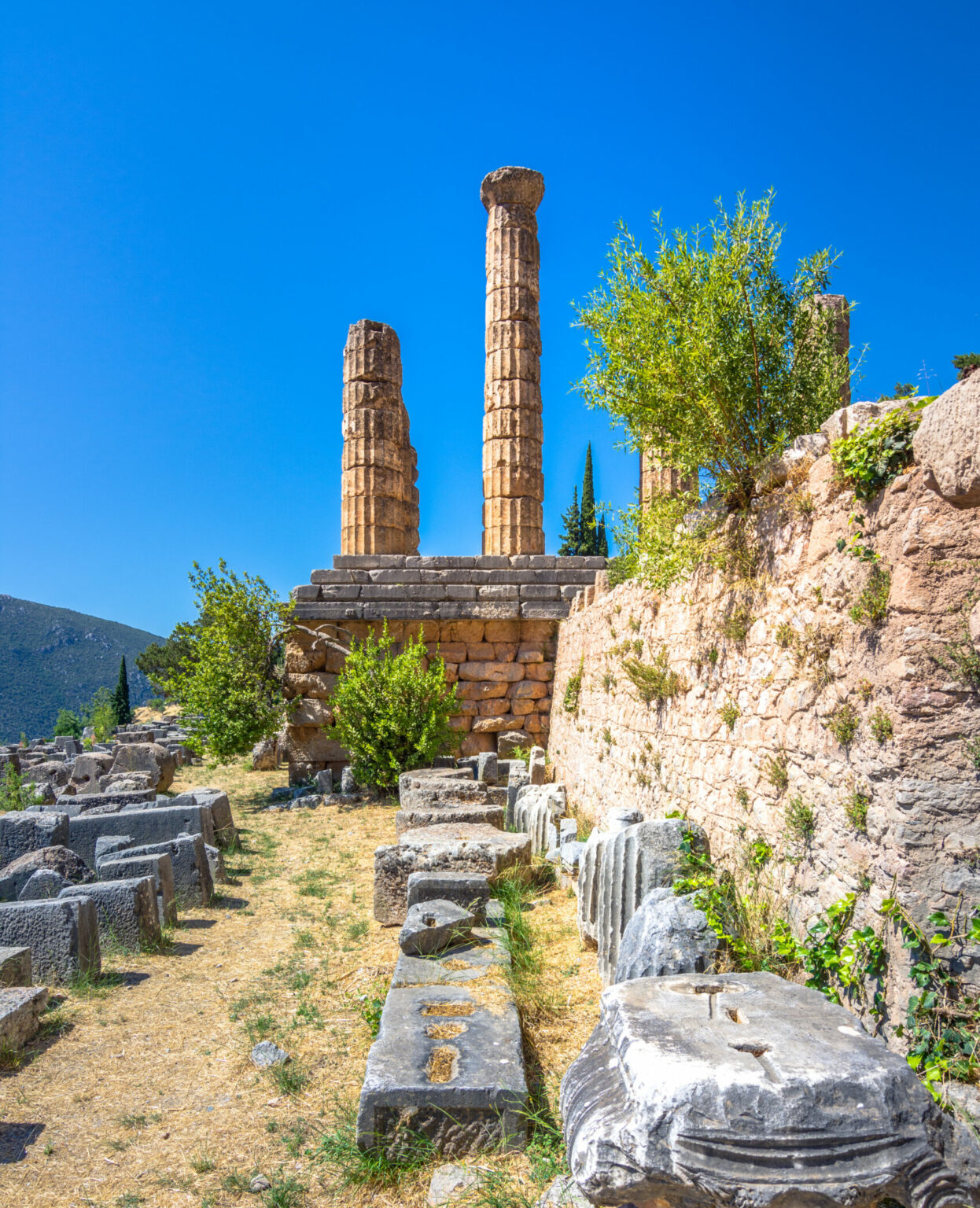 Ημερήσια εκδρομή στους Δελφούς | travel.gr