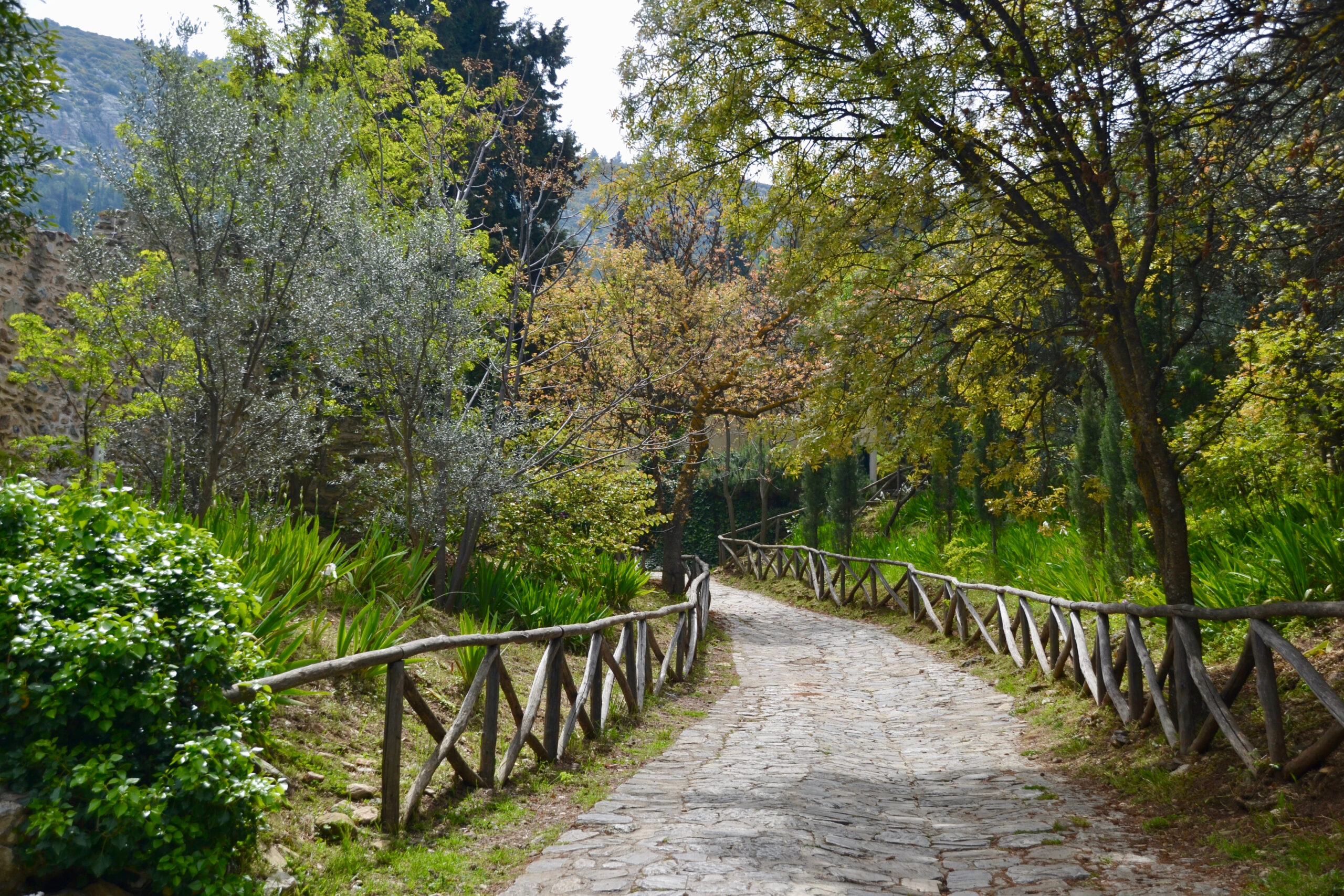 Εξερευνώντας τα βότανα του Υμηττού| travel.gr