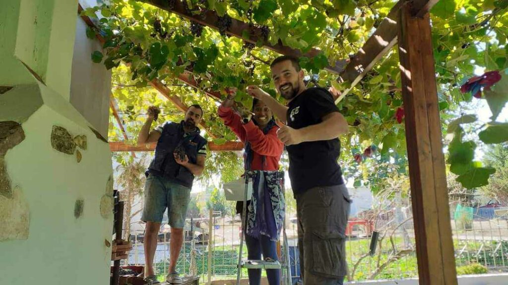 Το ζευγάρι που πήρε ένα «κακοποιημένο» κτήμα στο Παντείχι